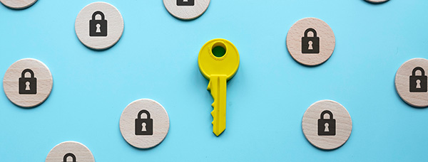 Build a Security Roadmap for Your Business - Cerberus Networks